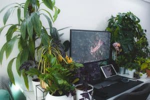 60Hz vs. 75Hz Refresh Rates - Which Monitor Should I Choose?