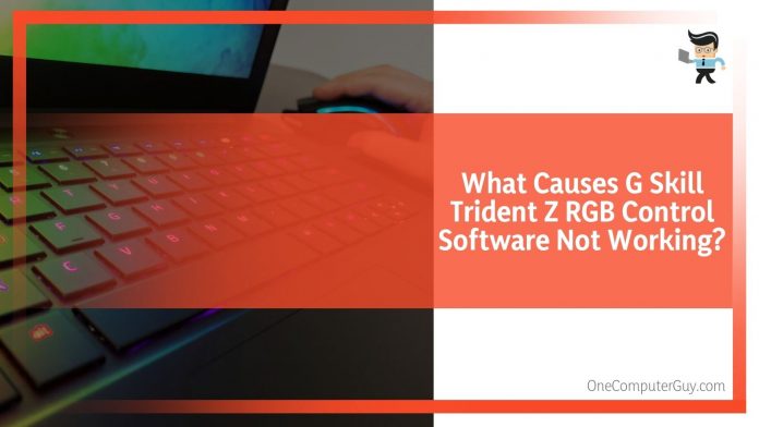 G.Skill Trident Z RGB Software Not Working: How to Fix It