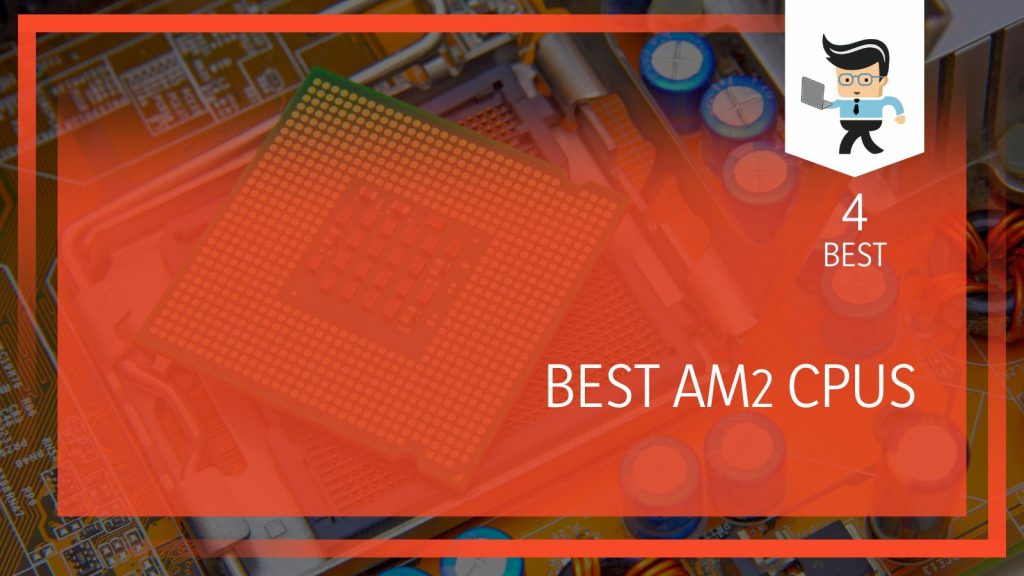 The Four Best AM2 CPUs Out There - Picking the Right Processor - One ...