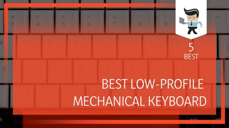 A Comprehensive Guide on the Best Low-Profile Mechanical Keyboard - One ...