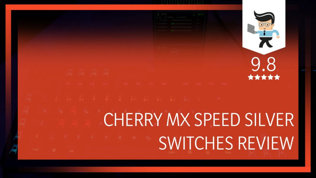 A Comprehensive Review of the Cherry MX Speed Silver Switches - One ...