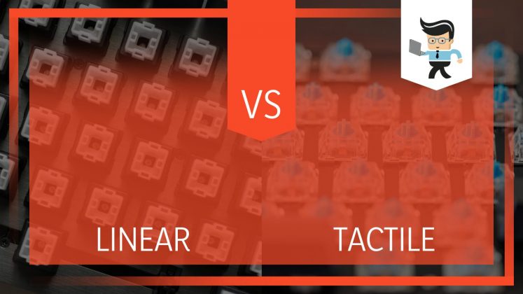 Tactile vs. Linear Switches: Settling for the Best - One Computer Guy