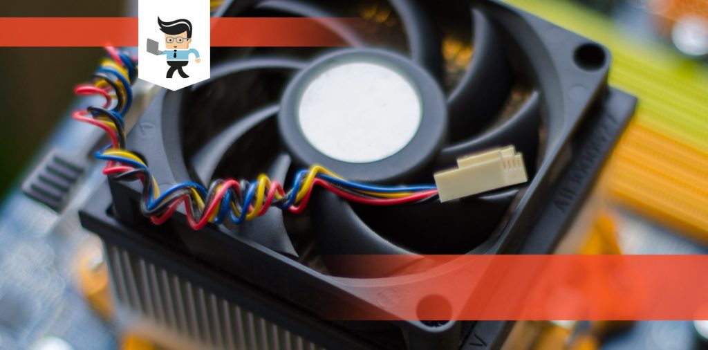 Single Fan vs. Dual Fan GPU: What Are the Differences?