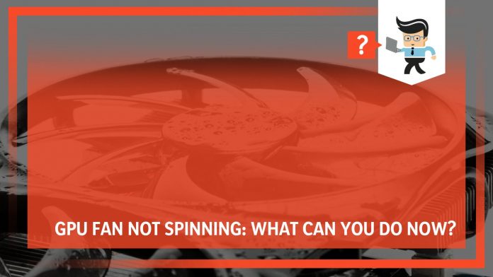 GPU Fan Not Spinning: What Can You Do Now? - One Computer Guy