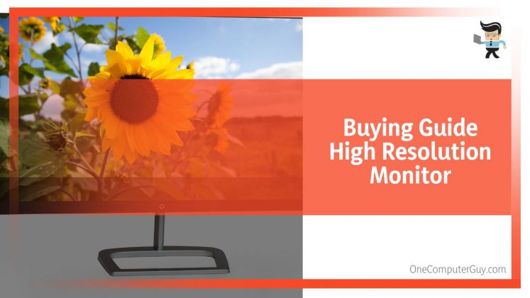 All About 3840x2160 (4k) Monitors: Our 2022 Guide