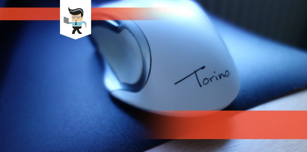 How Many Types of Mouse Are There For Your Computer?