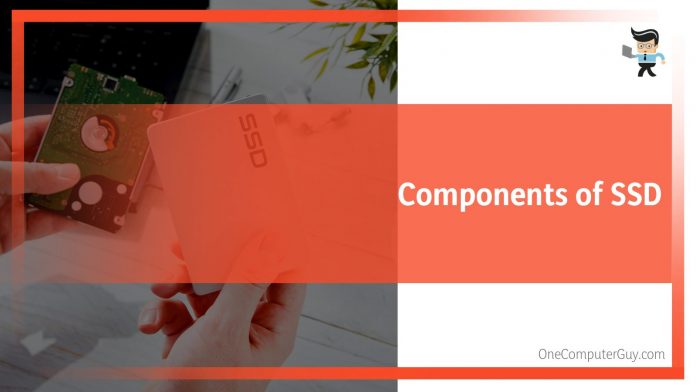 Types of SSDs: Choosing the Ideal Solid State Drive