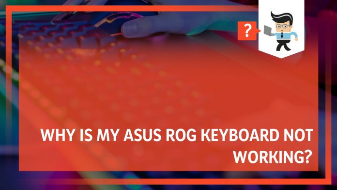 Asus ROG Keyboard Not Working: Ultimate Ways To Resolve the Issue