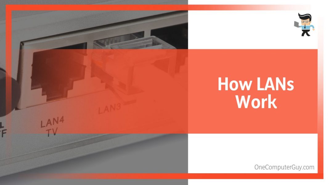 LAN vs WAN Port: A Guide to the Differences Between Networks Ports