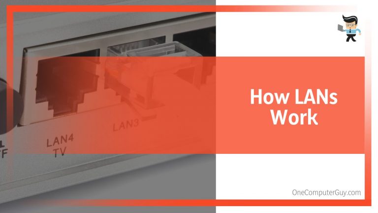 LAN vs WAN Port: A Guide to the Differences Between Networks Ports