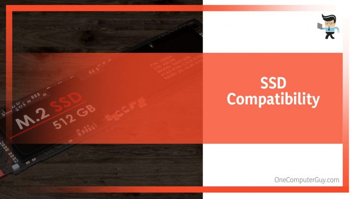 How to Check SSD Compatibility With Motherboard: Factors to Consider