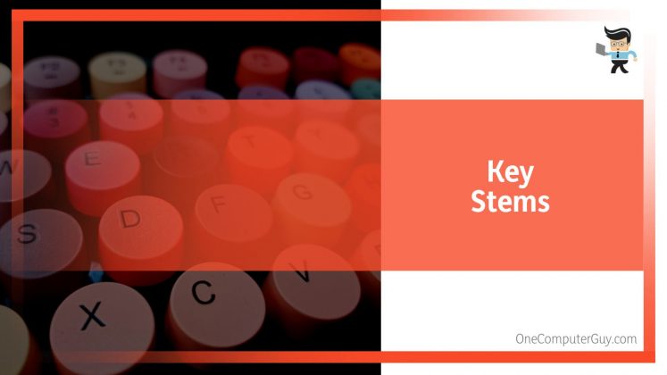 Are Keycaps Universal: A Guide on Keycap Compatibility