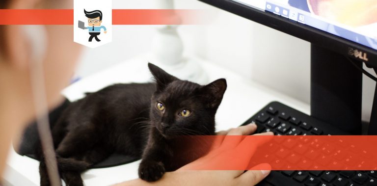 How To Remove Dell Monitor Stand: A Detailed Step-by-Step Guide