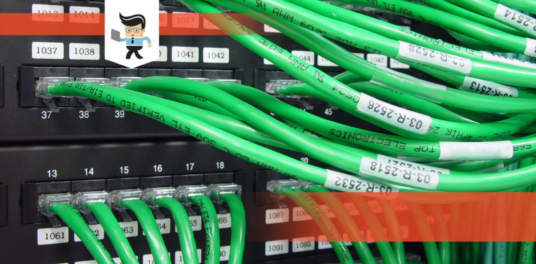 Patch Panel vs Switch: What Is The Difference And Purpose Of Each ...