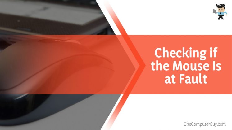 How To Connect Wireless Mouse to Chromebook Flawlessly