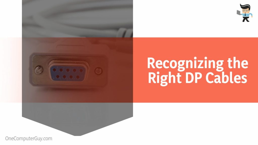 DisplayPort Labels Specify Bandwidth to Avoid: Ultimate Guide
