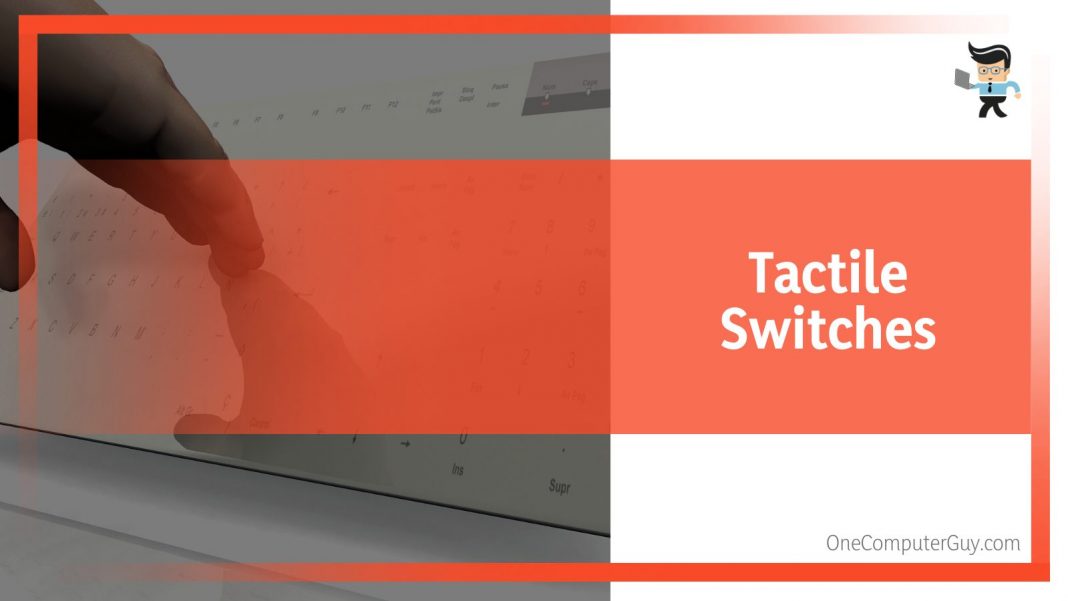 Tactile vs Linear vs Clicky: Which Switch Should You Choose?