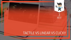 Tactile vs Linear vs Clicky: Which Switch Should You Choose?