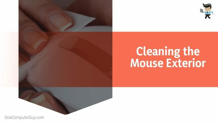 How To Clean Mouse Components in the Most Effective Way?