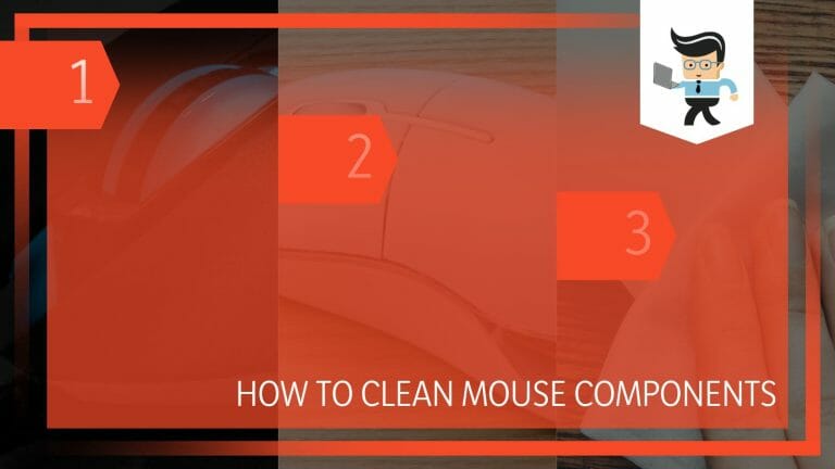 How To Clean Mouse Components in the Most Effective Way?