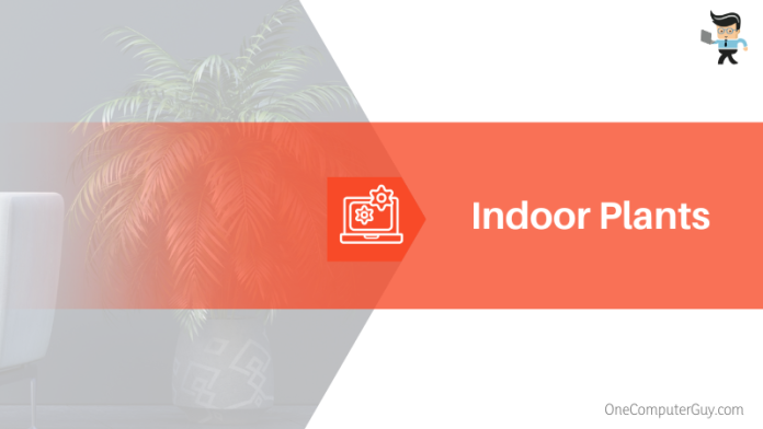 How to Hide Router and Modem in 10 Brilliant Steps