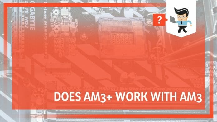 Does AM3+ Work With AM3: Unraveling the Performance Mystery